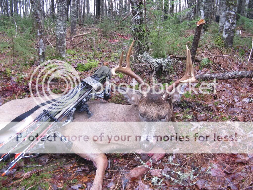 After the Kill – World Class Hunter