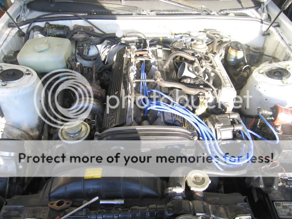 Progress and random pics. | Toyota Celica Supra Forum