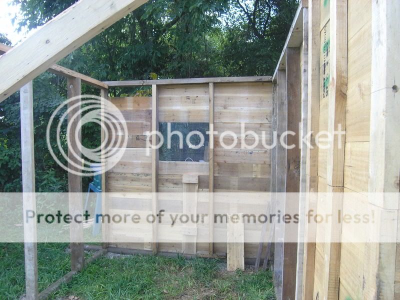 PLEASE, share your turkey housing ideas with me! | BackYard Chickens ...