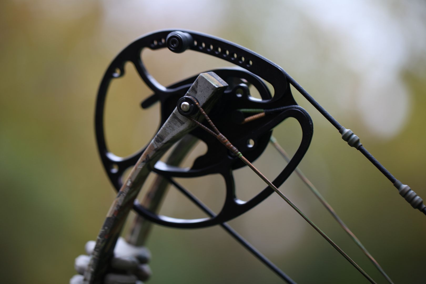 What color custom strings for camo bow? | Archery Talk Forum