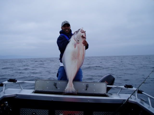 Saltwater - SEKIU Halibut Derby 2009 | Bloodydecks