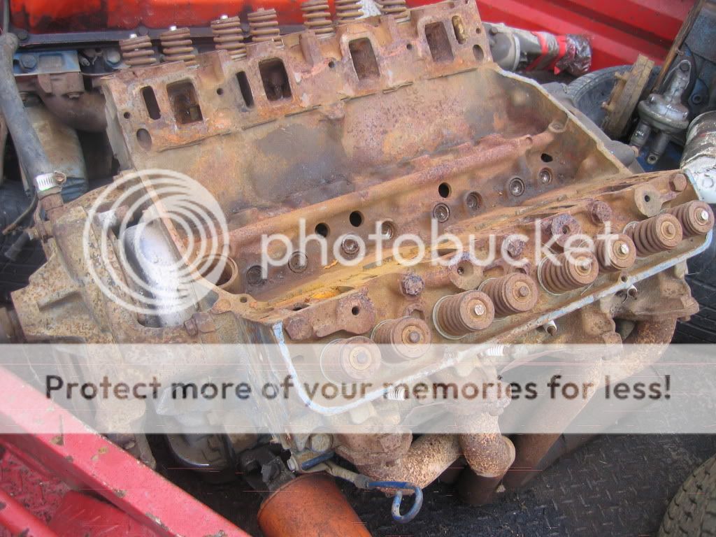 What have we found 352???? - Ford Truck Enthusiasts Forums