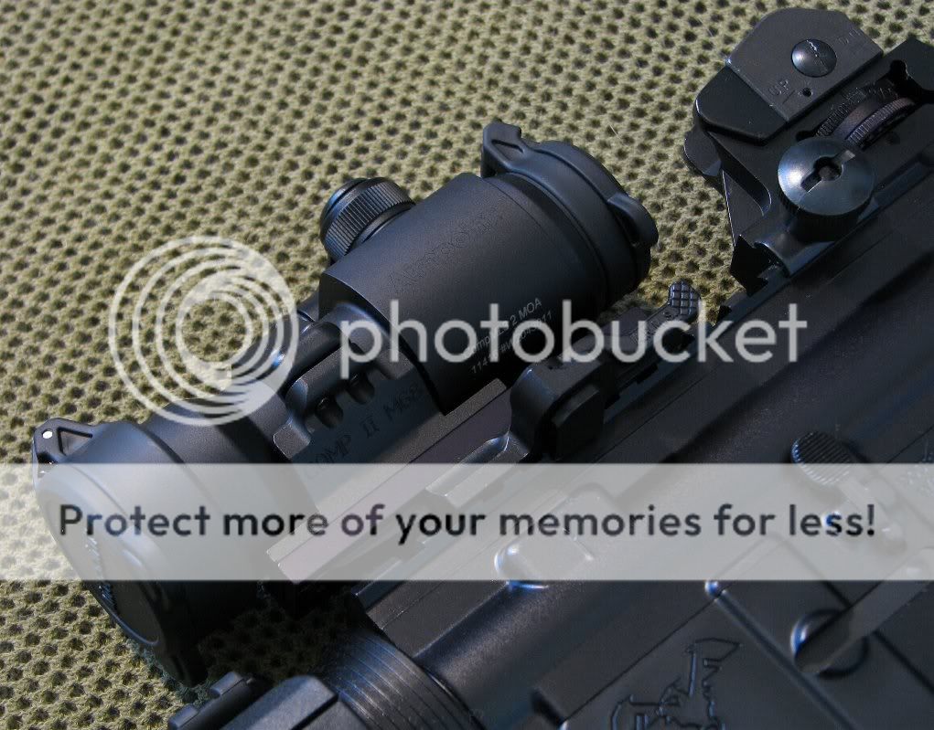 Should I chop my carry handle? > General Discussion > AR15.COM