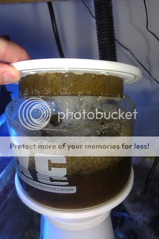 swc cone skimmers | REEF2REEF Saltwater and Reef Aquarium Forum