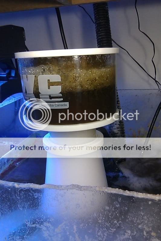 swc cone skimmers | REEF2REEF Saltwater and Reef Aquarium Forum