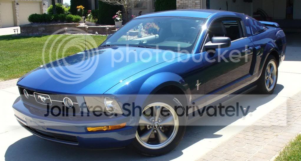 Saleen Rear Louvers | Ford Mustang Forum