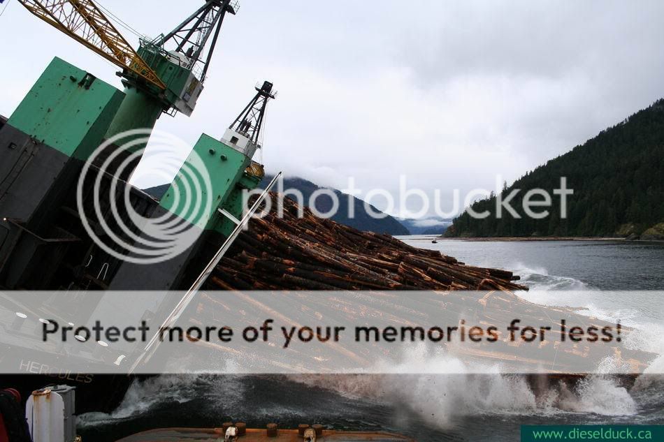 Old Log Truck Photo Album? | Arborist, Chainsaw & Tree Work Forum