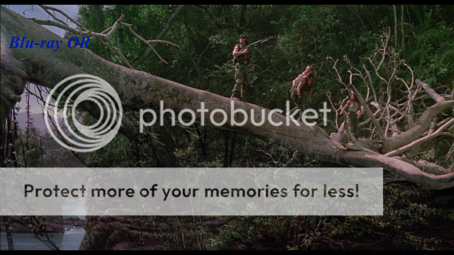 Predator Ultimate Hunter Edition comparison *PIX* | AVS Forum